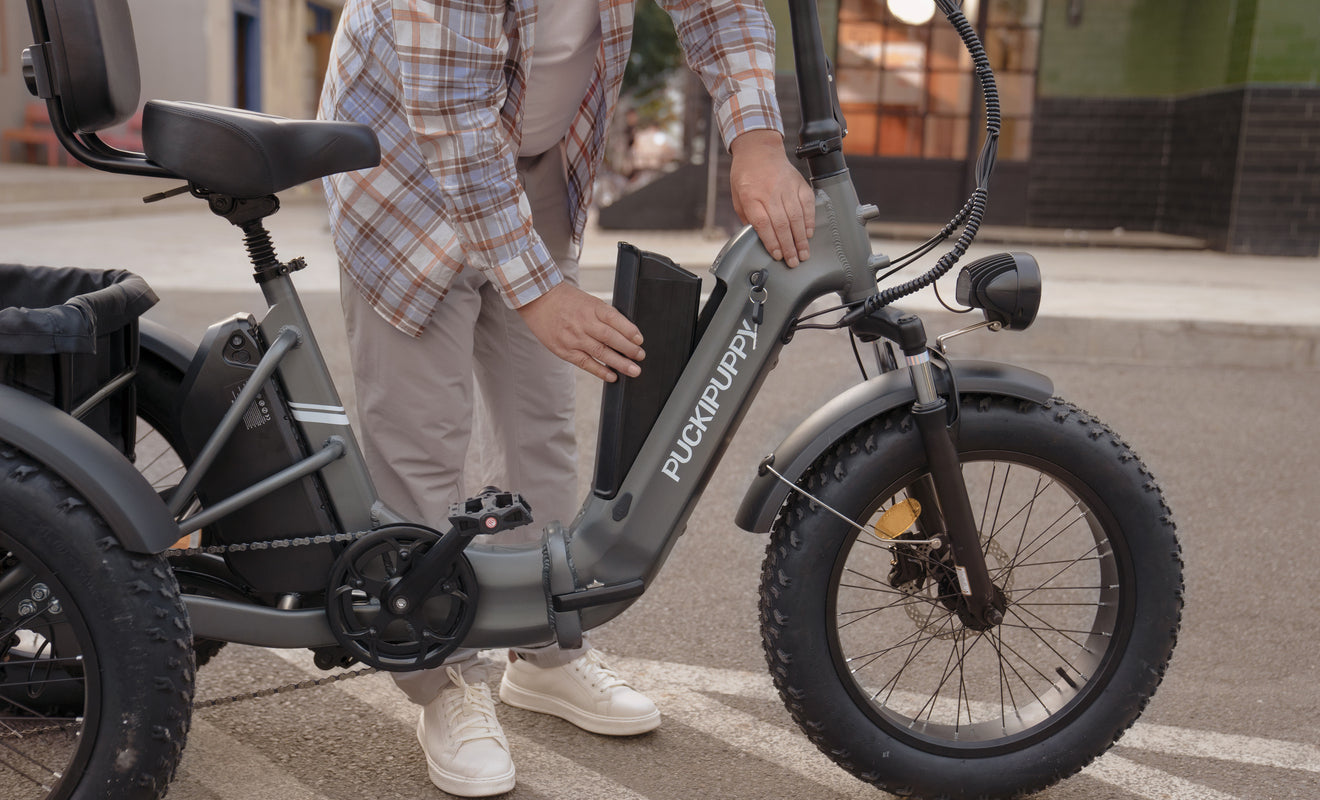 Puckipuppy Husky Plus: Dual Battery Electric Trike For Adults